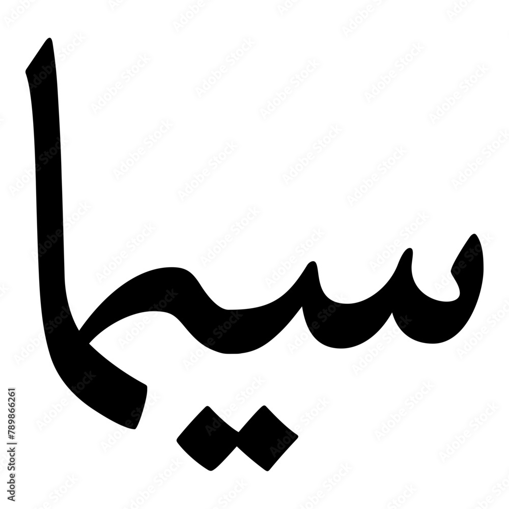 Seema Muslim Girls Name Naskh Font Arabic Calligraphy Stock Vector ...