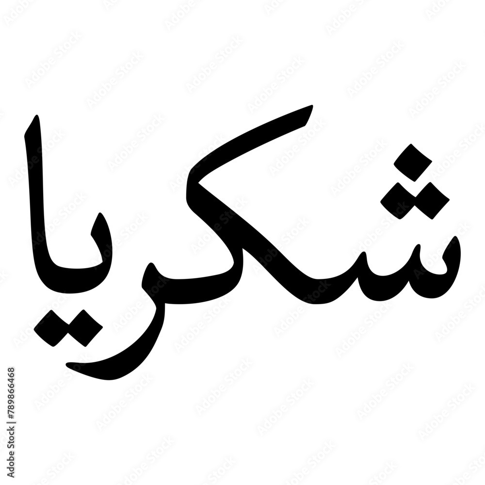 Shukriya Muslim Girls Name Naskh Font Arabic Calligraphy Stock Vector ...