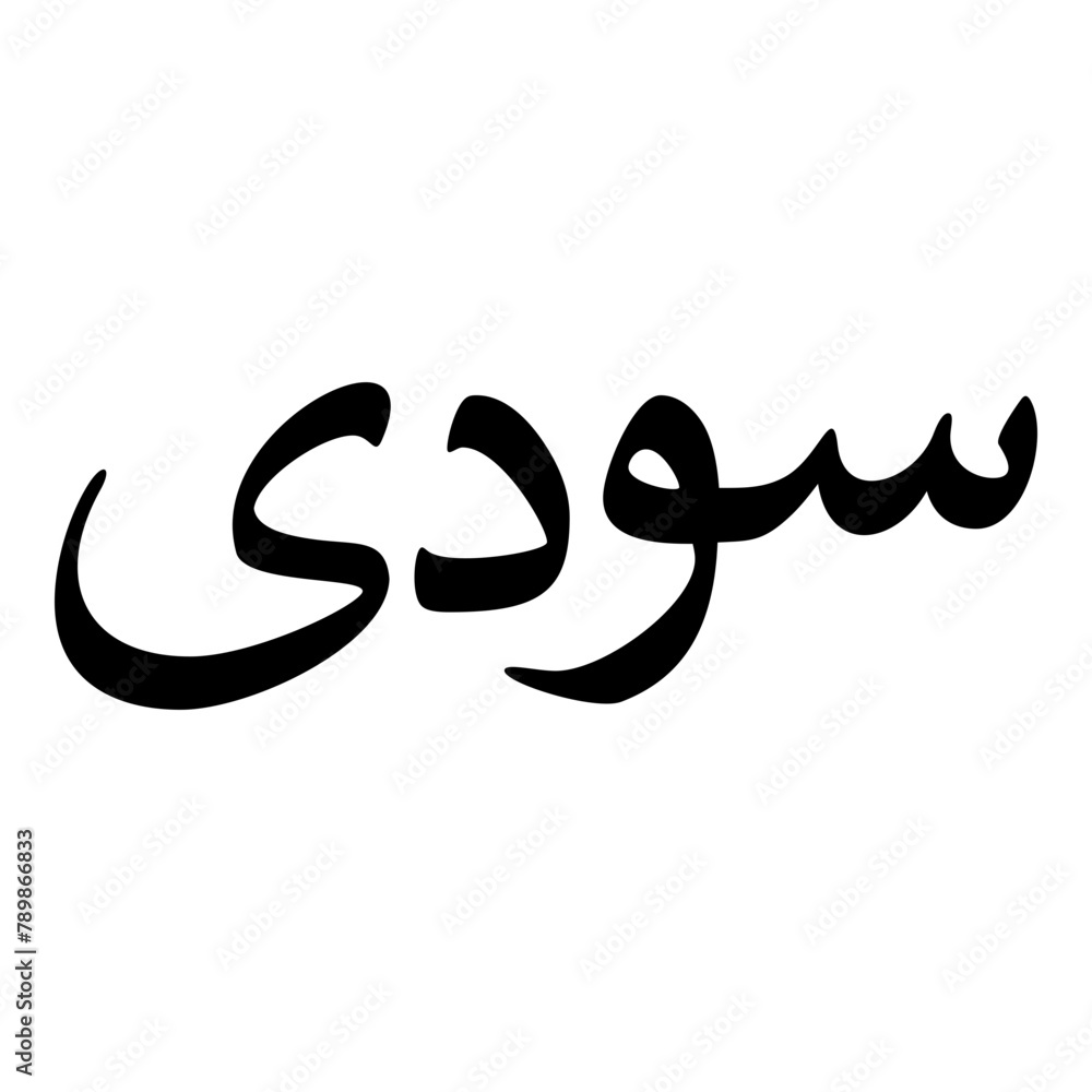 Sudi Muslim Girls Name Naskh Font Arabic Calligraphy Stock Vector ...