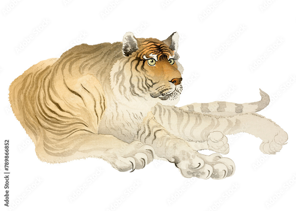 Realistic tiger png clipart, animal illustration on transparent ...