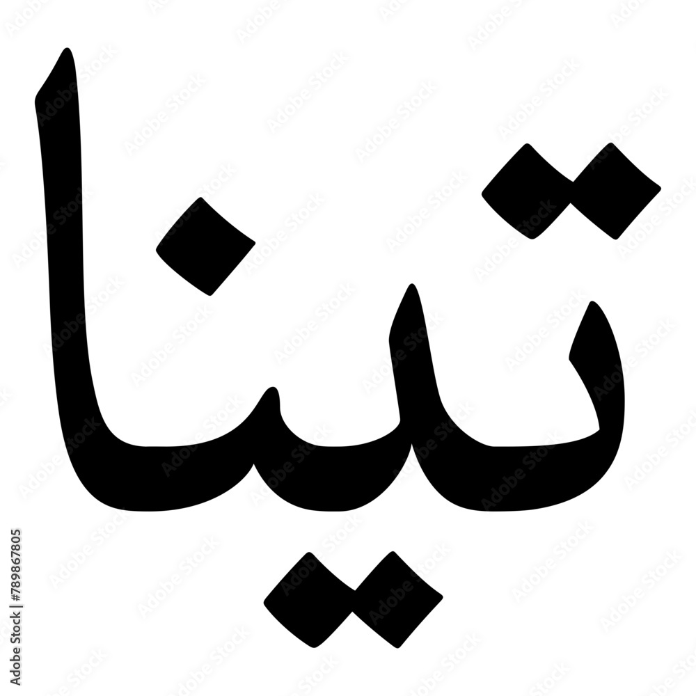 Tina Muslim Girls Name Naskh Font Arabic Calligraphy Stock Vector ...