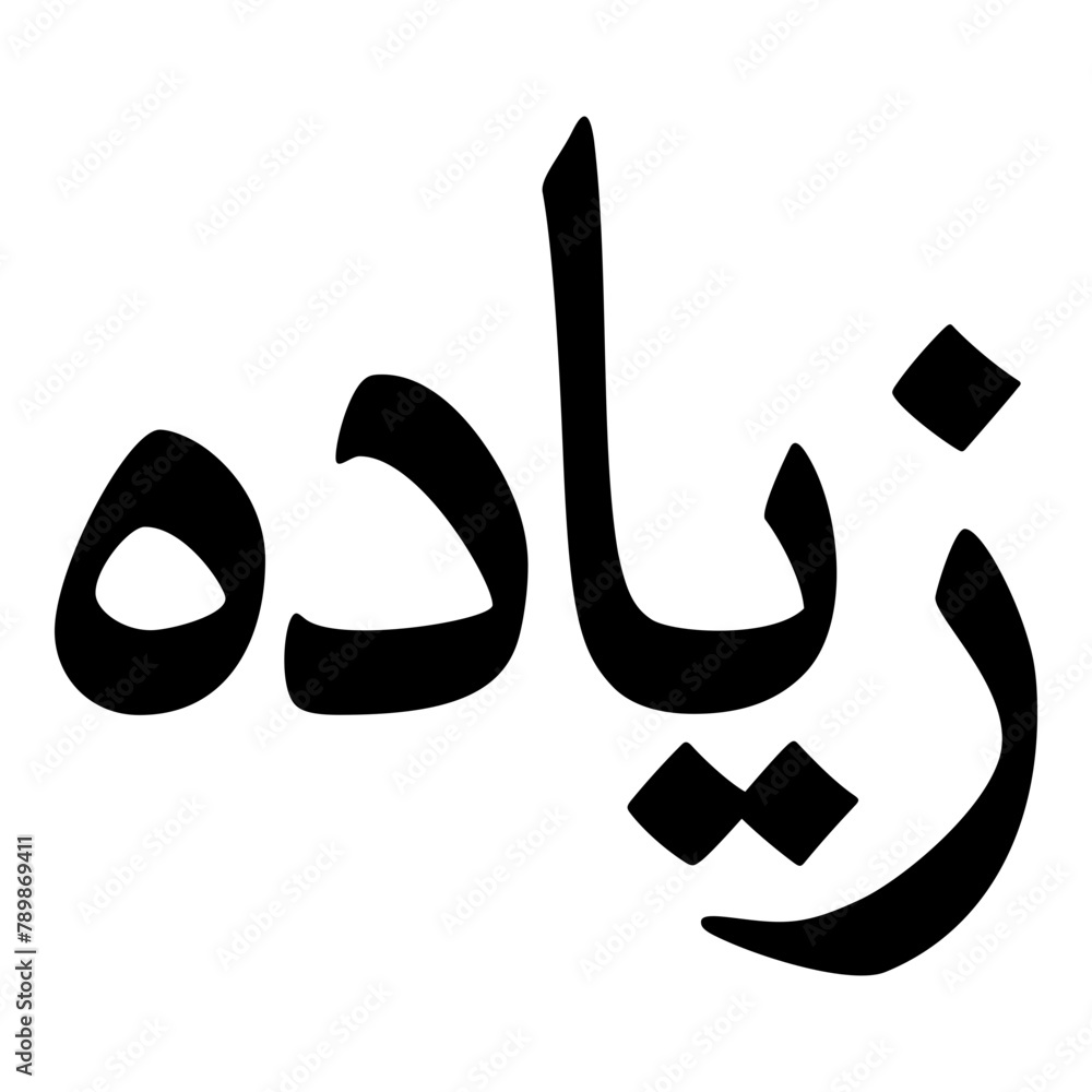 Ziyada Muslim Girls Name Naskh Font Arabic Calligraphy Stock Vector ...