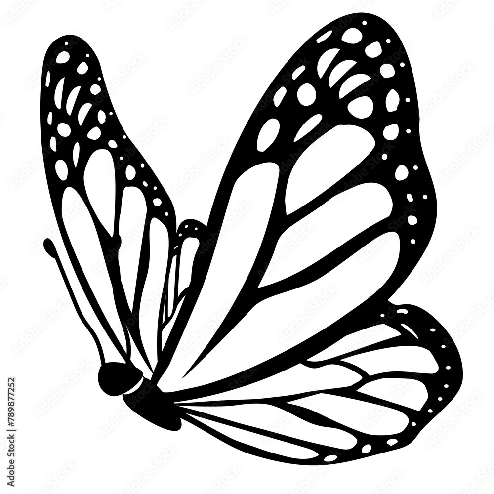 Butterfly png doodle sticker, black & white illustration, transparent ...