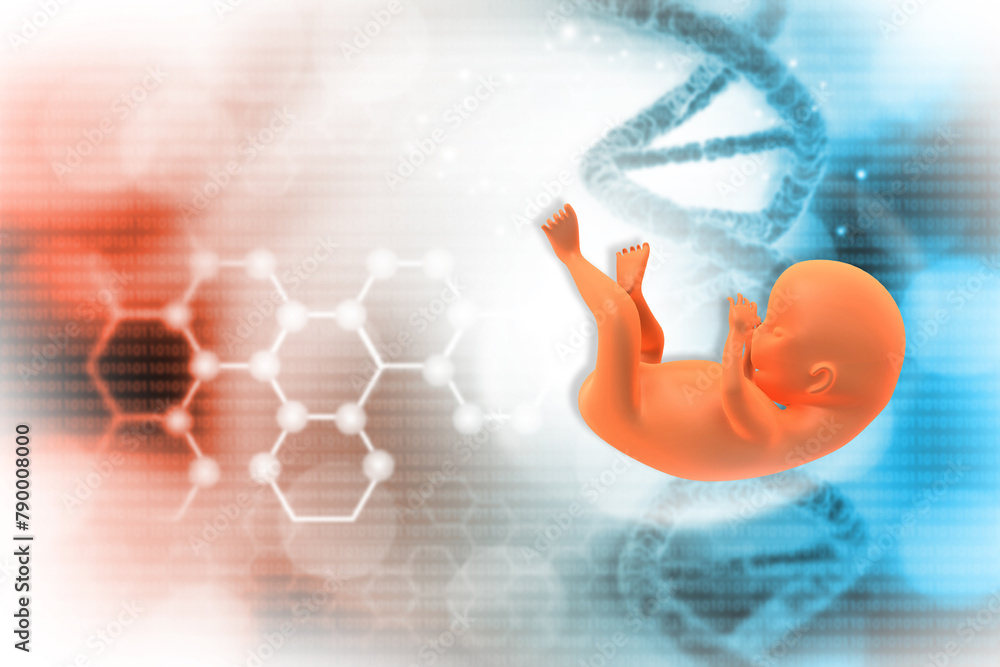 Human fetus on scientific background. 3d illustration.. Stock ...