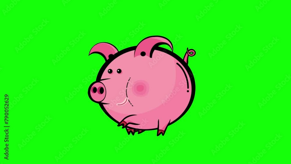Pig cartoon animated character start walking greenscreen isolated. Hog ...