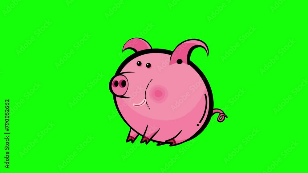 Pig cartoon animated character sitting greenscreen isolated. Hog can ...