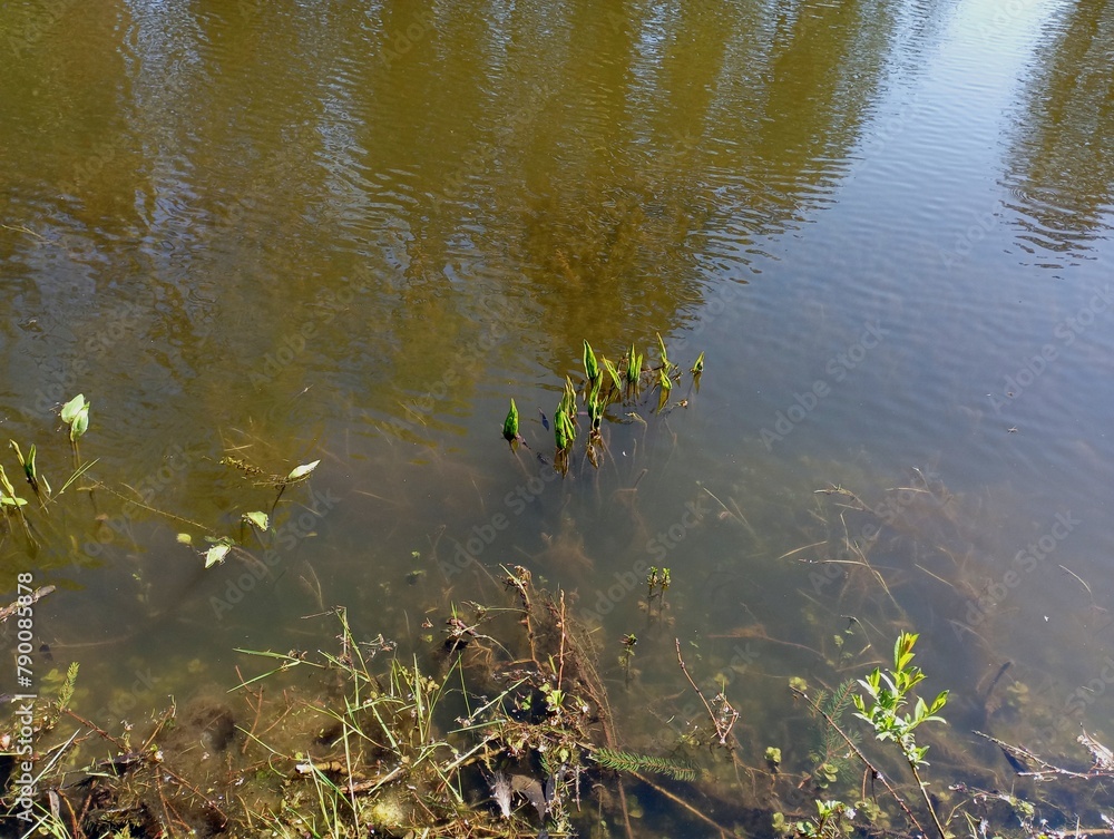 Beautiful texture of the water surface of the lake in which underwater ...