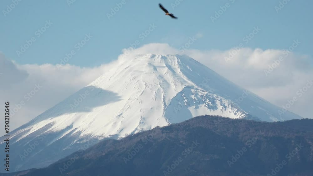 SHIZUOKA, JAPAN - MARCH 2024 : Close up shot of Mount Fuji with snow on ...