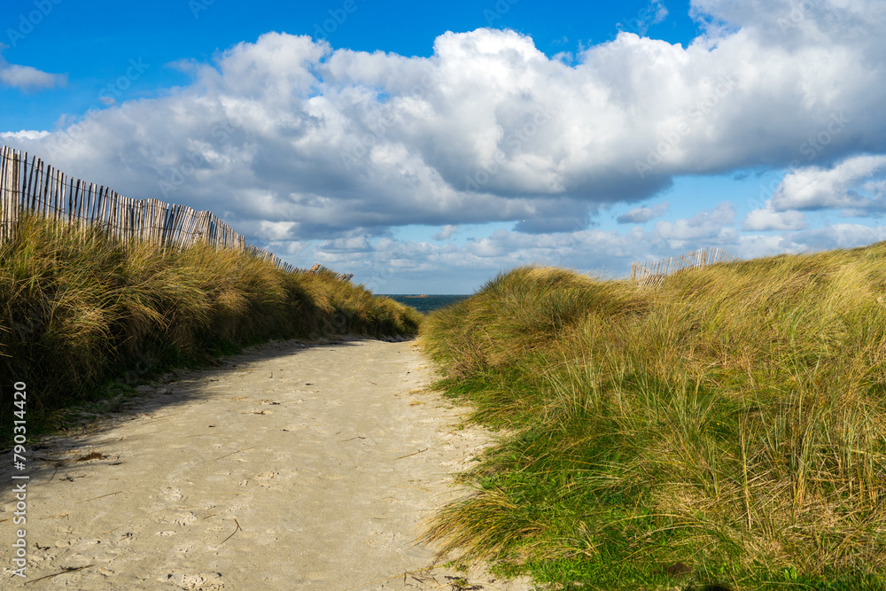 Chemin de sable serpentant à travers les dunes ornées d'oyats, dans le ...