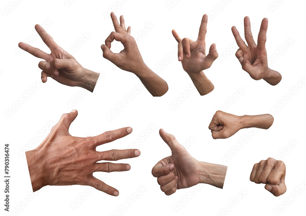 Set of human hands on transparent background. Dismembered body parts ...