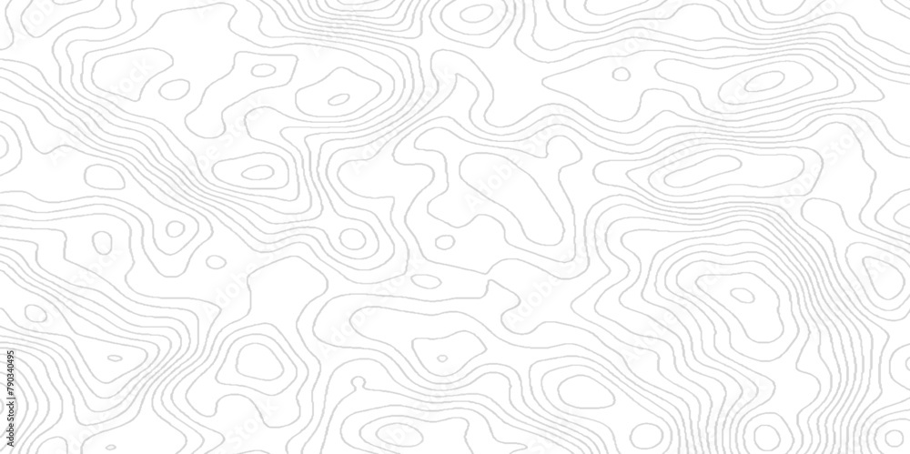 Black and white geometric lines seamless Topographic map, White wave ...