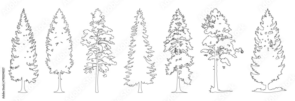 Set of silhouette stroke outline spruce line drawing. Side view set of ...
