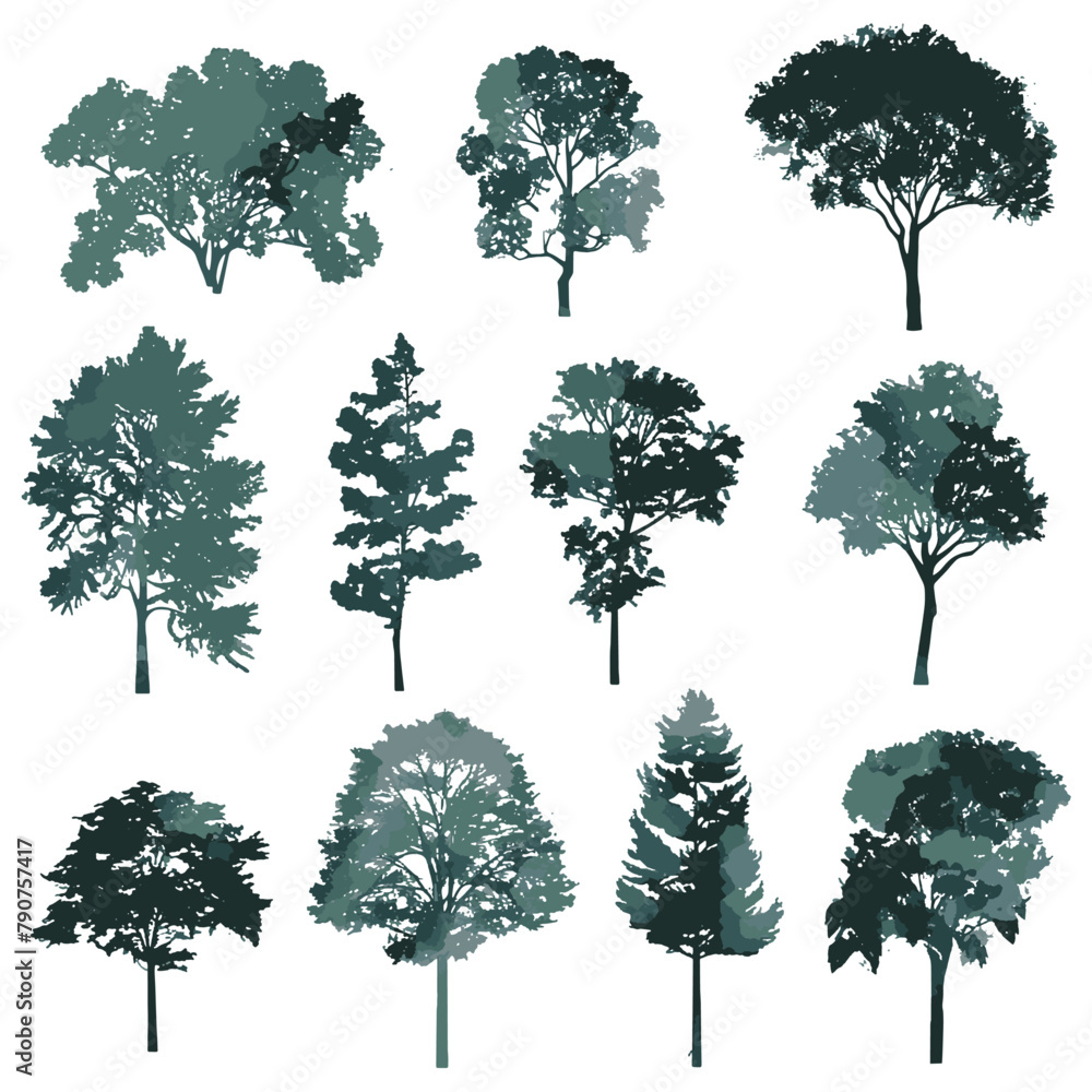 Trees, set of elevation trees Stock Vector | Adobe Stock