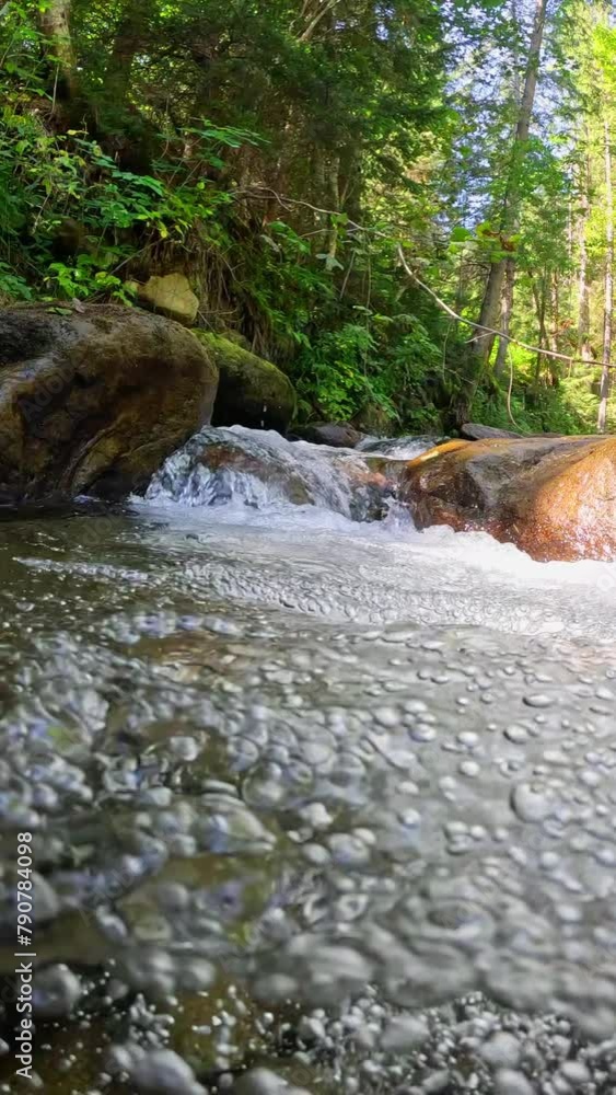 Vertical Screen shot of River with clear water in the tropical ...
