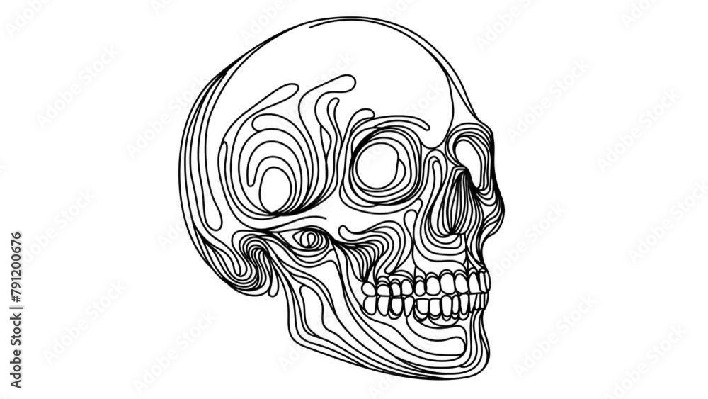 Skull continuous line drawing on white background. Line art animation ...