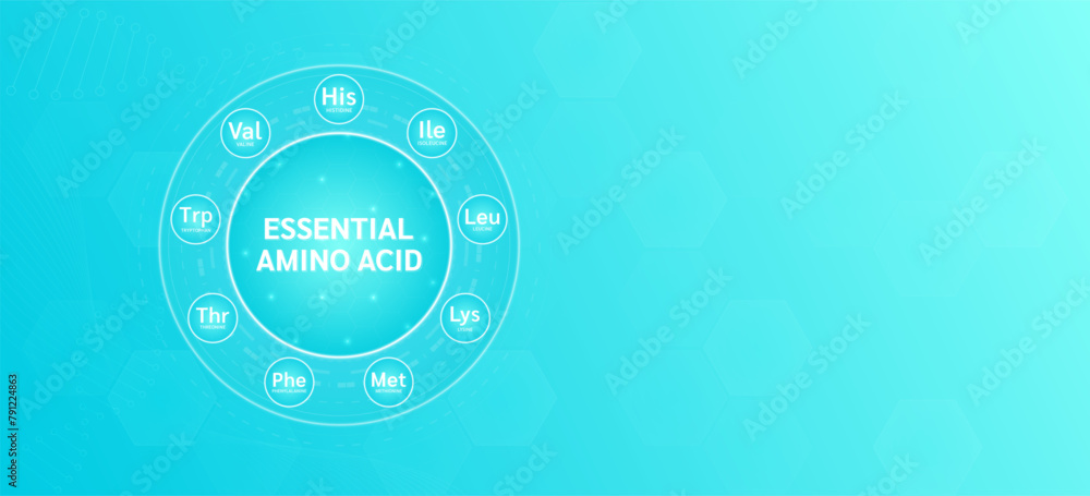9 Essential Amino Acids. Biomolecules that combine to form proteins ...