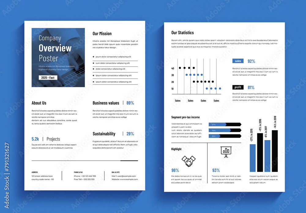 Company Overview Poster Template Stock Template | Adobe Stock