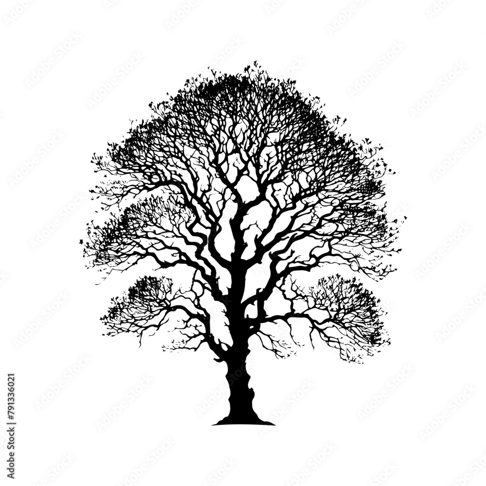 Shadows of the Grove: Black Vector Ash Tree Silhouette, Whispering ...