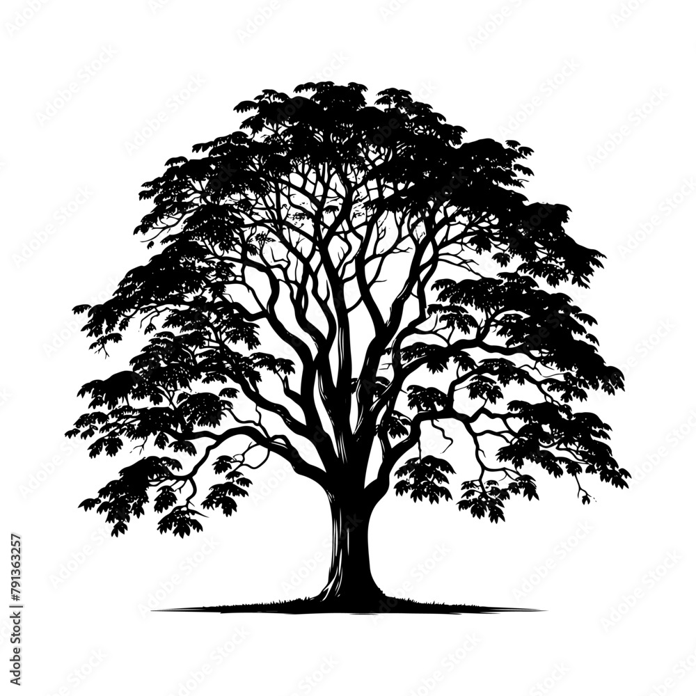 Black Vector Hickory Tree Silhouette, Nature's Sentinels Amidst Dusk's ...