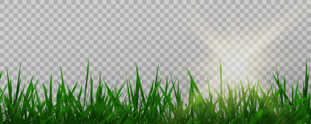 Grass border, vector illustration. Vector grass, lawn. Grass png, lawn ...