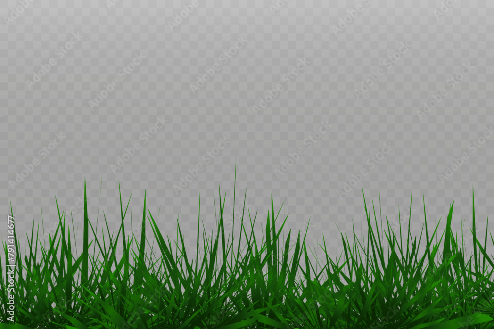 Grass border, vector illustration. Vector grass, lawn. Grass png, lawn ...