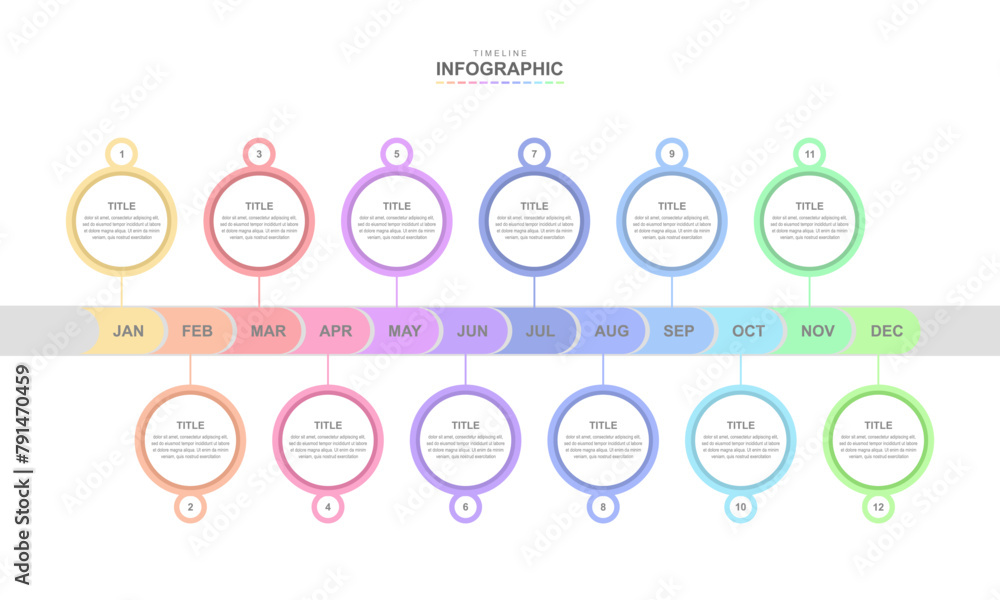 Infographic template for business. 12 Months Timeline, vector ...