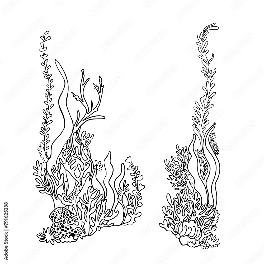 Element seaweed shit. Coloring book Design element for seasonal ...
