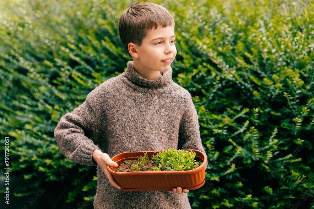 Teen boy holding green sprouts in a tub, healthy eating mocrogreen ...