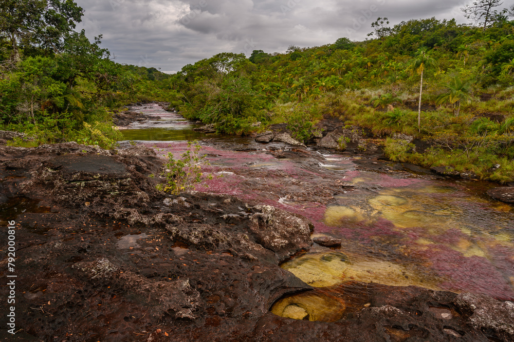 The rainbow river or five colors river is in Colombia one of the most ...