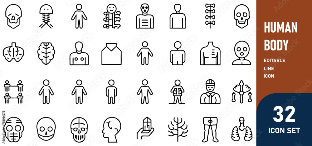 Human Body Line Editable Icons set. Vector illustration in modern thin ...