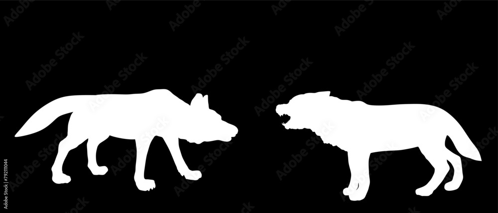 Alpha wolf fight against opponent vector silhouette illustration ...