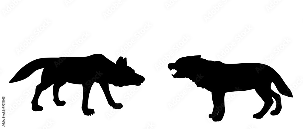 Alpha wolf fight against opponent vector silhouette illustration ...