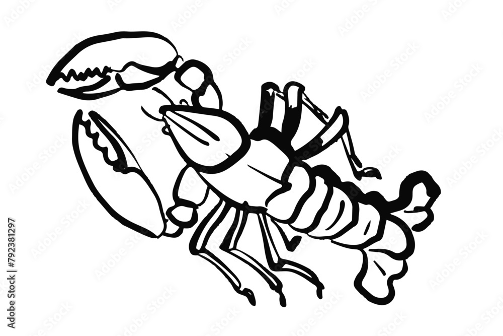 Lobster in black outlines isolated on white background.Hand drawn ...