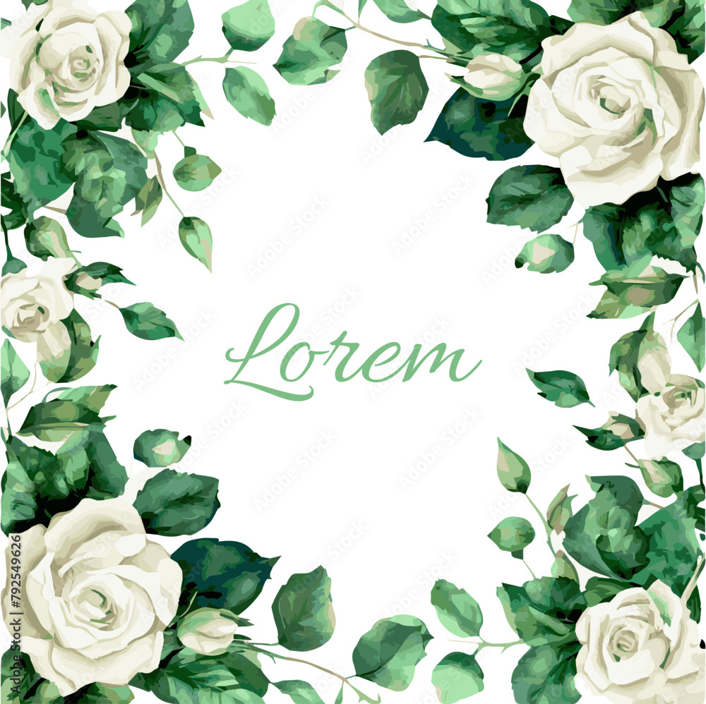 Watercolor frame of a white rose on a transparent background. White ...