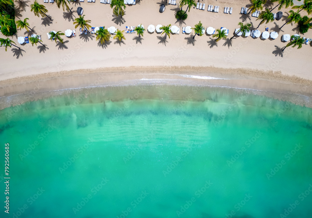 Aerial top down view of Carlisle Bay beach with coconut palm trees and ...