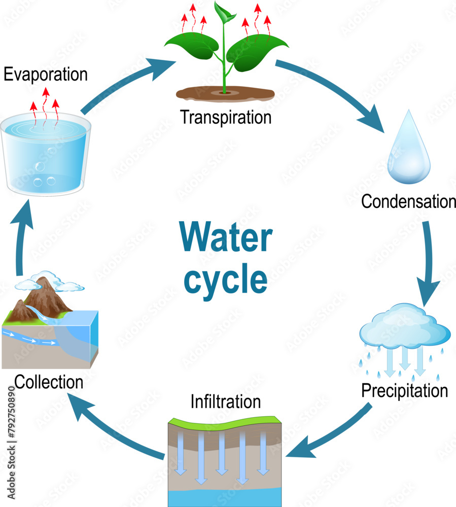 Water cycle. Schematic vector diagram Stock Vector | Adobe Stock