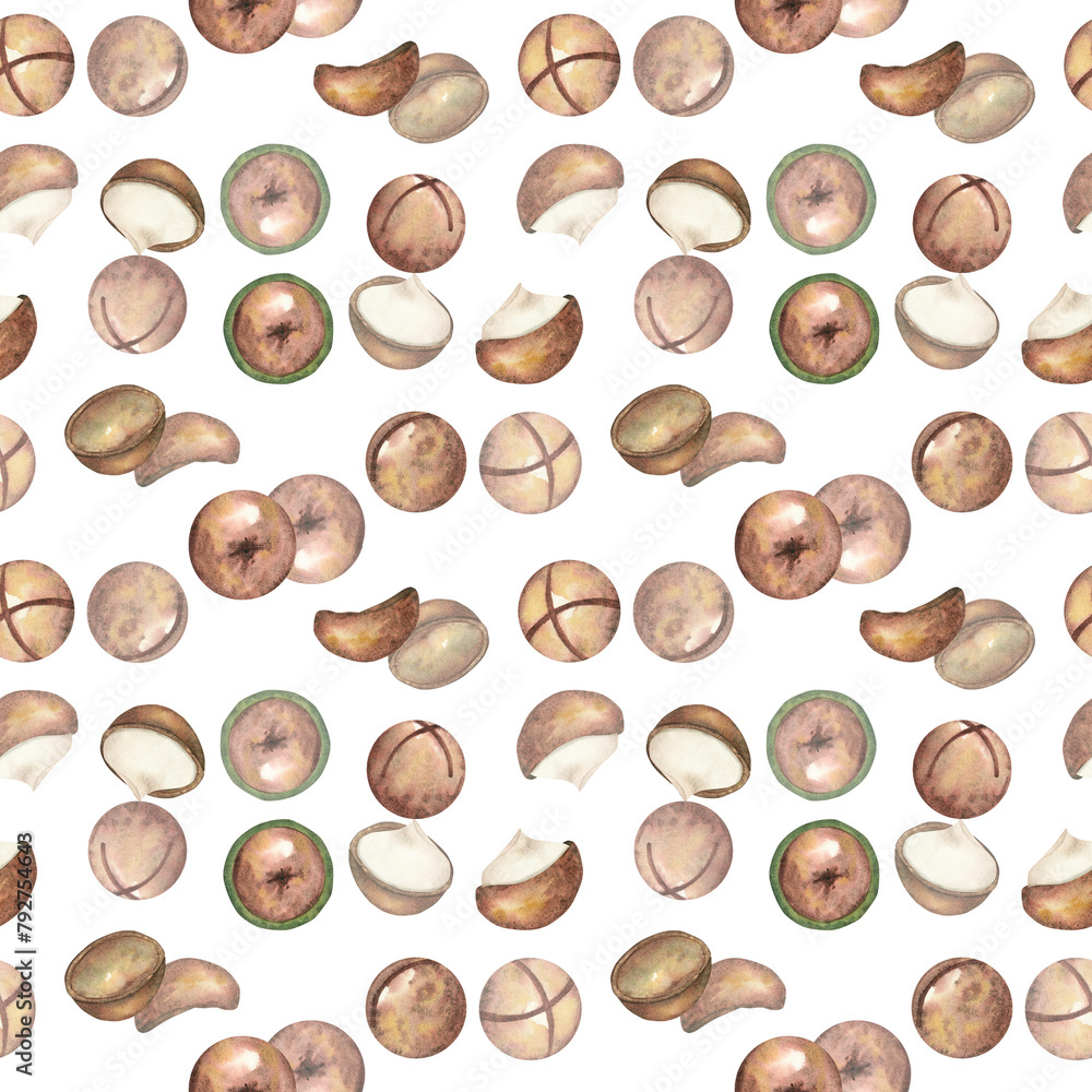 Seamless macadamia nut pattern on a white background. The macadamia ...