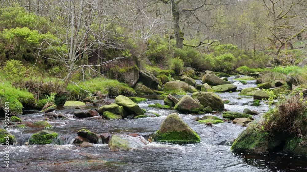 Slow moving forest stream waterfall, nature's serenity scene with ...