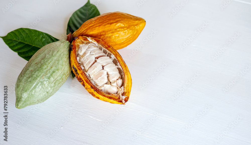 Top view of half sliced ripe yellow cacao pod with white cocoa seed ...