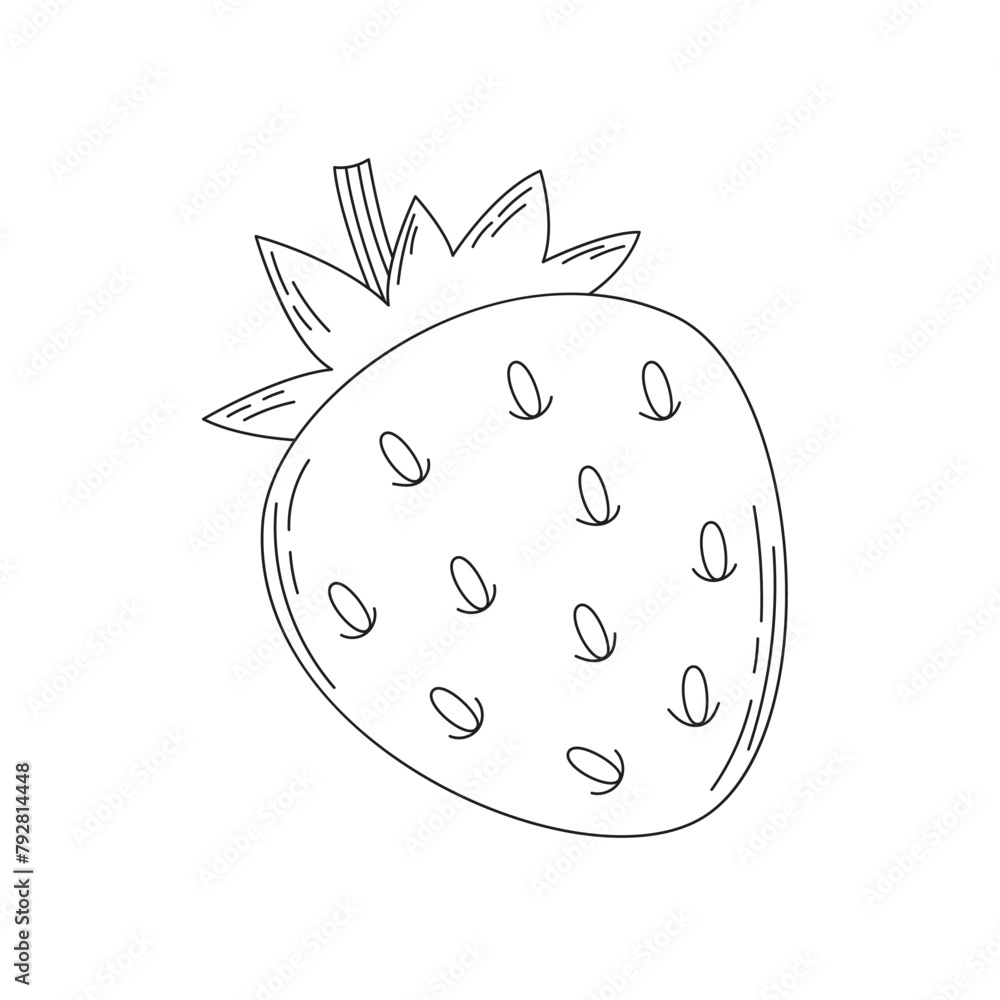 Strawberry hand drawn doodle. Coloring page with a berry. Line art ...