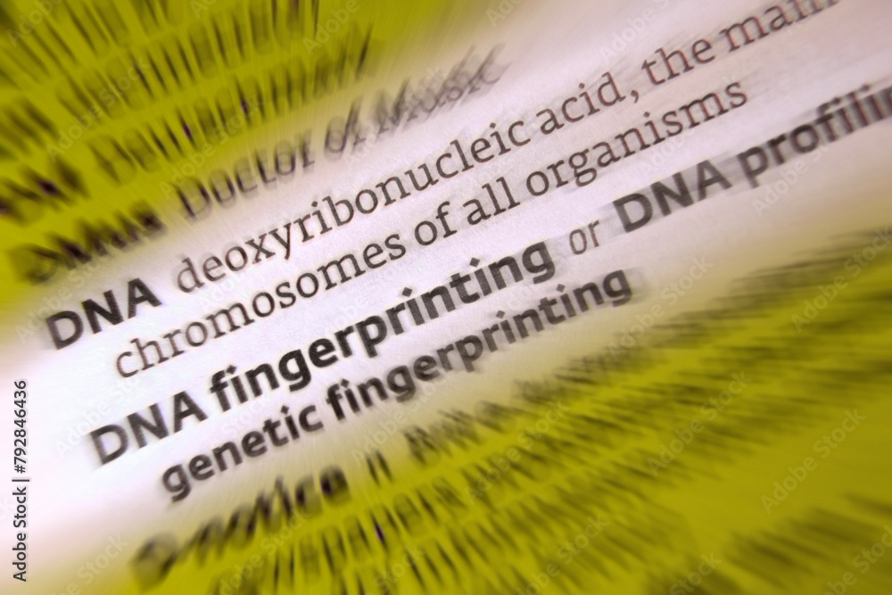 DNA - DNA Fingerprinting. Deoxyribonucleic acid is a polymer composed ...