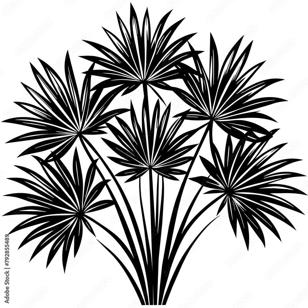 Beautiful Papyrus plant silhouette - Vector - Vector art - Vector ...