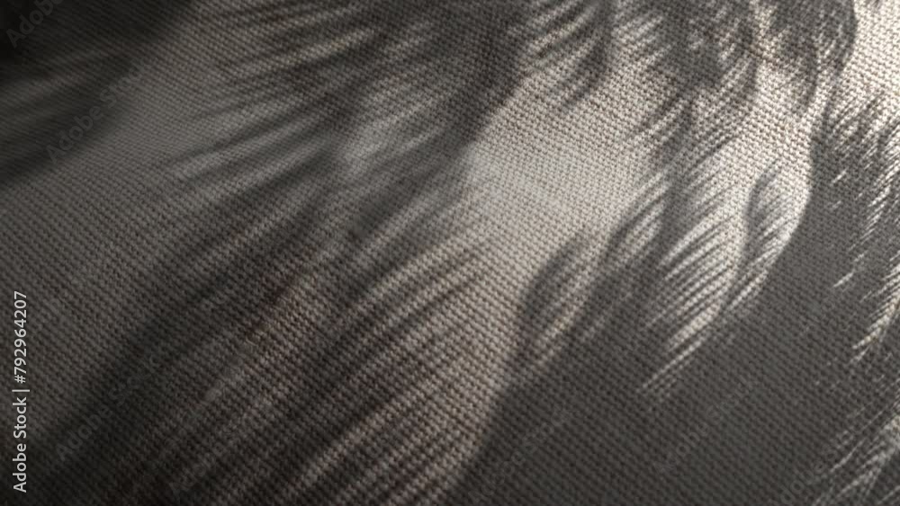 Tropical Summer Elegant Gobo light Palm tree shadow on pastel color ...