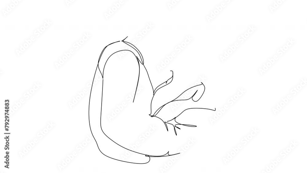 Linear Drawing Of Man And Woman Kiss Valentines Day Love Vector Illustration Hand Drawn Lines