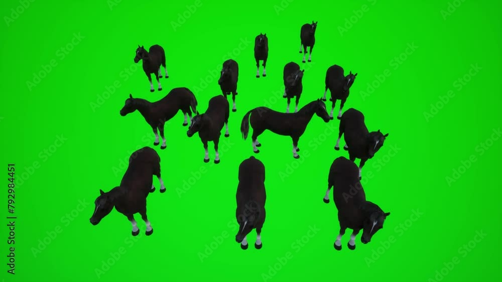 3D animation of a group of horses on a farm top view chroma green ...