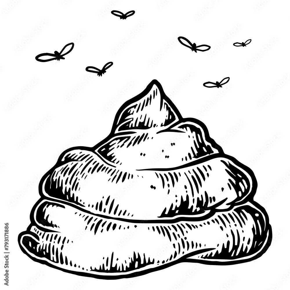 Poop with flies sketch engraving PNG illustration. Scratch board style ...