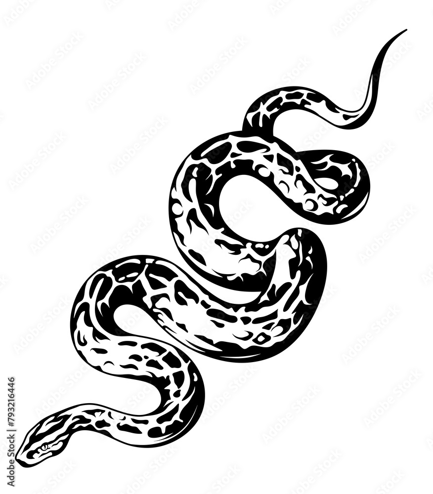 Black and white python PNG illustration clipart. Monochrome boa ...