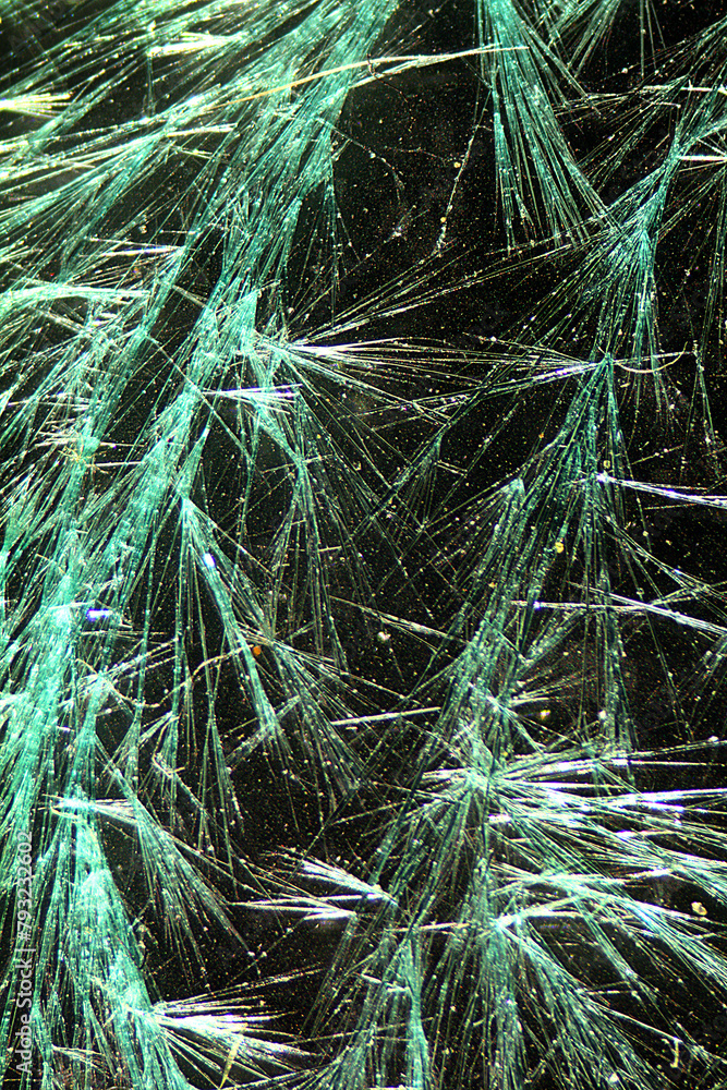Polarization microscopy of copper sulfate crystals at 100x. Stock Photo ...
