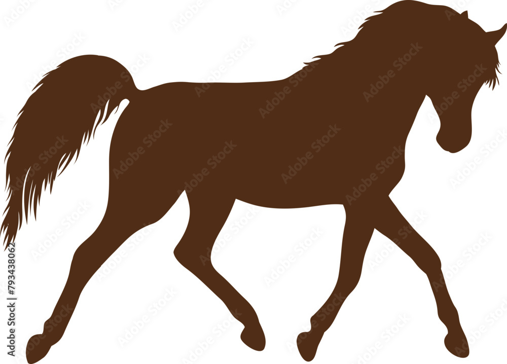 Kuda, Keledai, Zebra, Kuda Poni, Horse, Donkey, Zebra, Pony, Cavalo ...