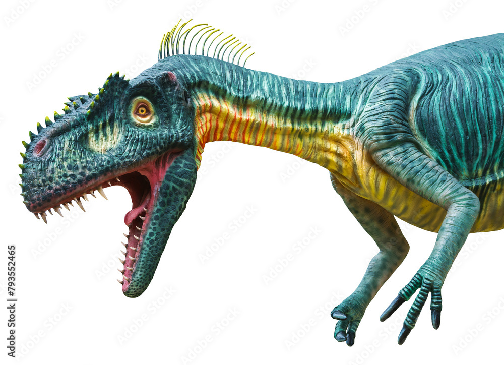 Megalosaurus is a carnivorous genus of large meat-eating theropod ...